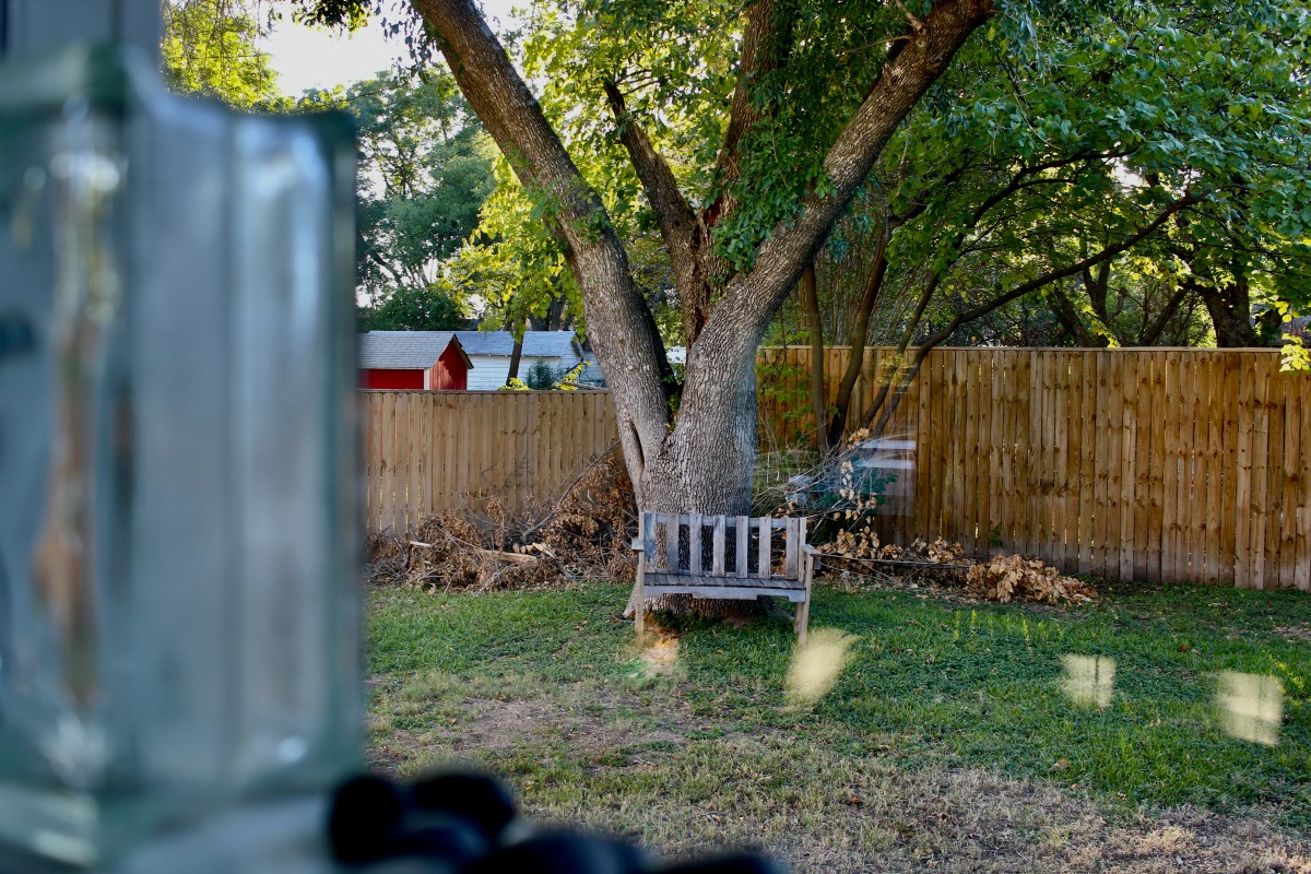 In Memory of an Arizona Ash – That… Which Matters Most